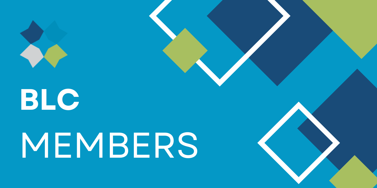 Boston Library Consortium