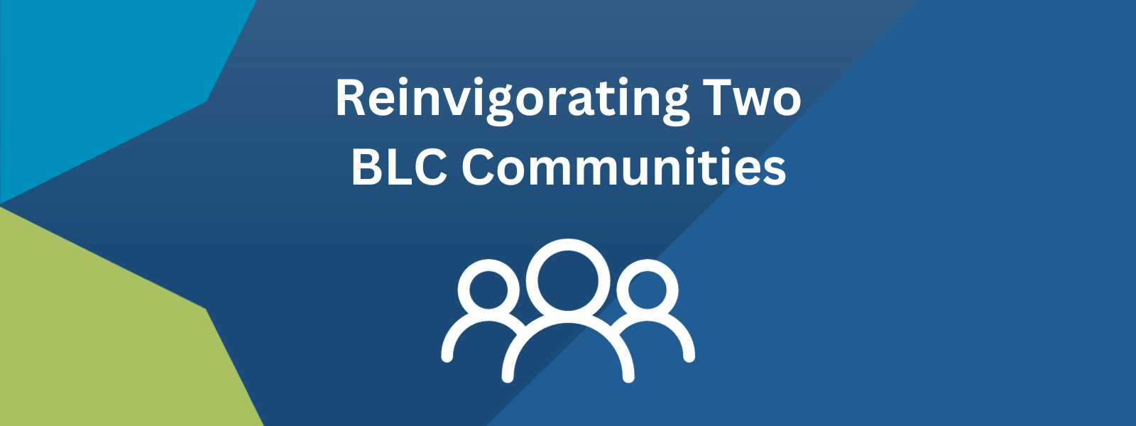 Reinvigorating BLC's Assessment and Government Documents COIs